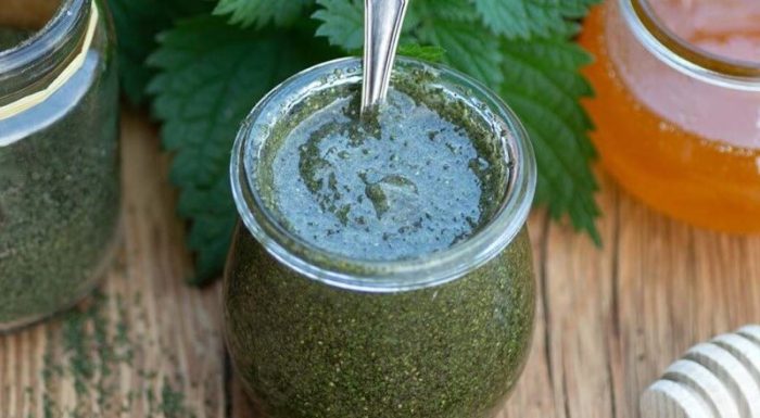 Seme Koprive i Med RECEPT – 8 Moćnih Lekovitosti