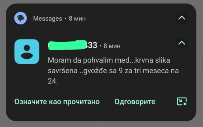 Nizak feritin – Simptomi i lečenje – Reč specijaliste - Čuvar Košnice